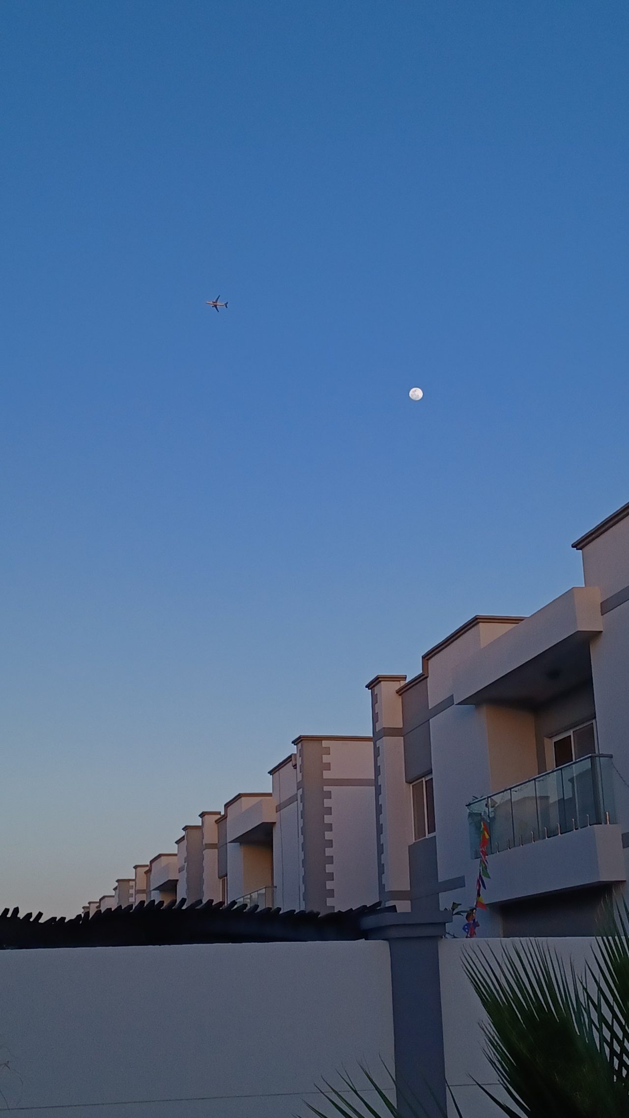 10 weird and wonderful things about Qatar | DebbieDerry