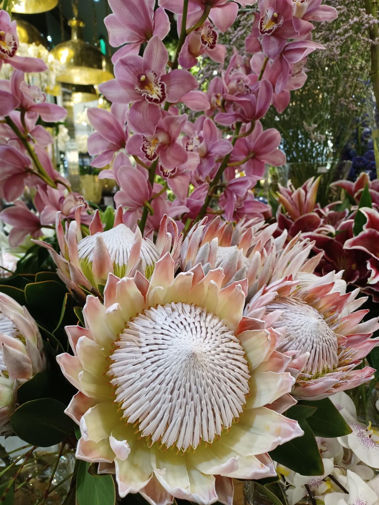 Flowers in Qatar – it’s blooming brilliant | DebbieDerry